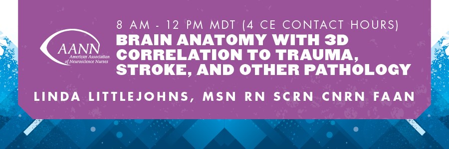 Courses/Webinars | AANN